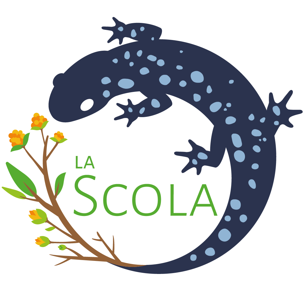 La Scola : Minimalisme, permaculture, mieux-être ! - La Scola